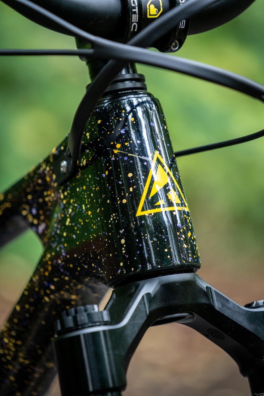 Full custom Forbidden Druid V2 - Fine Tune Cycles's Bike Check - Vital MTB